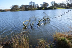 Stranraer Fishing » Venues